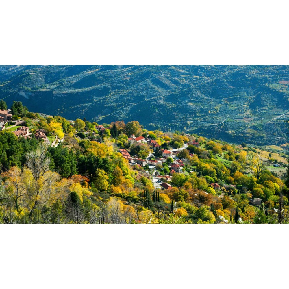 ΚΥΡΙΑΚΗ 23/11/2025 Ημερήσια ΤΡΙΚΑΛΑ ΚΟΡΙΝΘΙΑΣ ΜΟΝΗ ΑΓΙΟΥ ΒΛΑΣΙΟΥ – ΛΟΥΤΡΑΚΙ